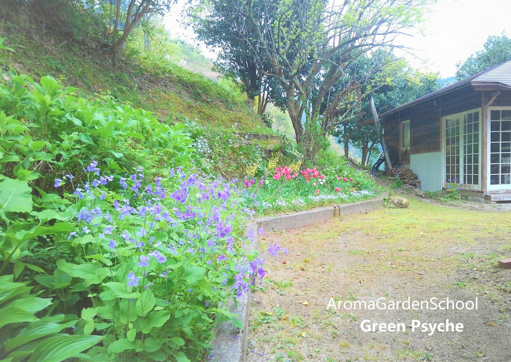 Aroma Garden School グリーンプシュケ - JAA日本アロマコーディネーター協会